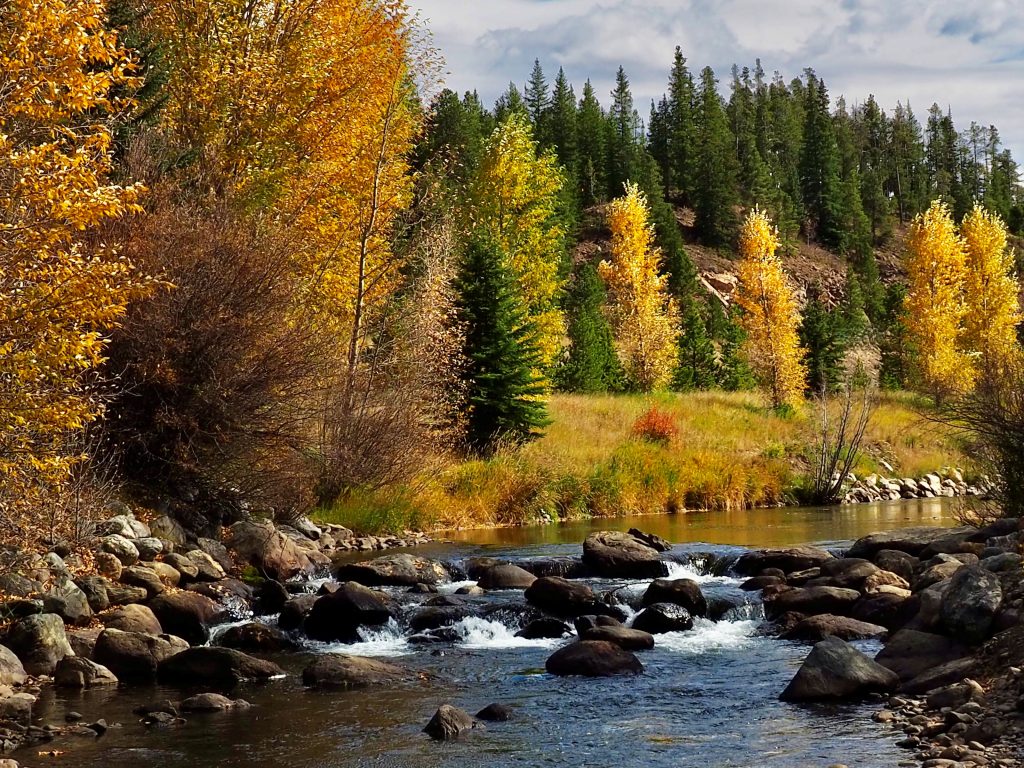 What happens to spring runoff in the weeks after peak snowpack ...